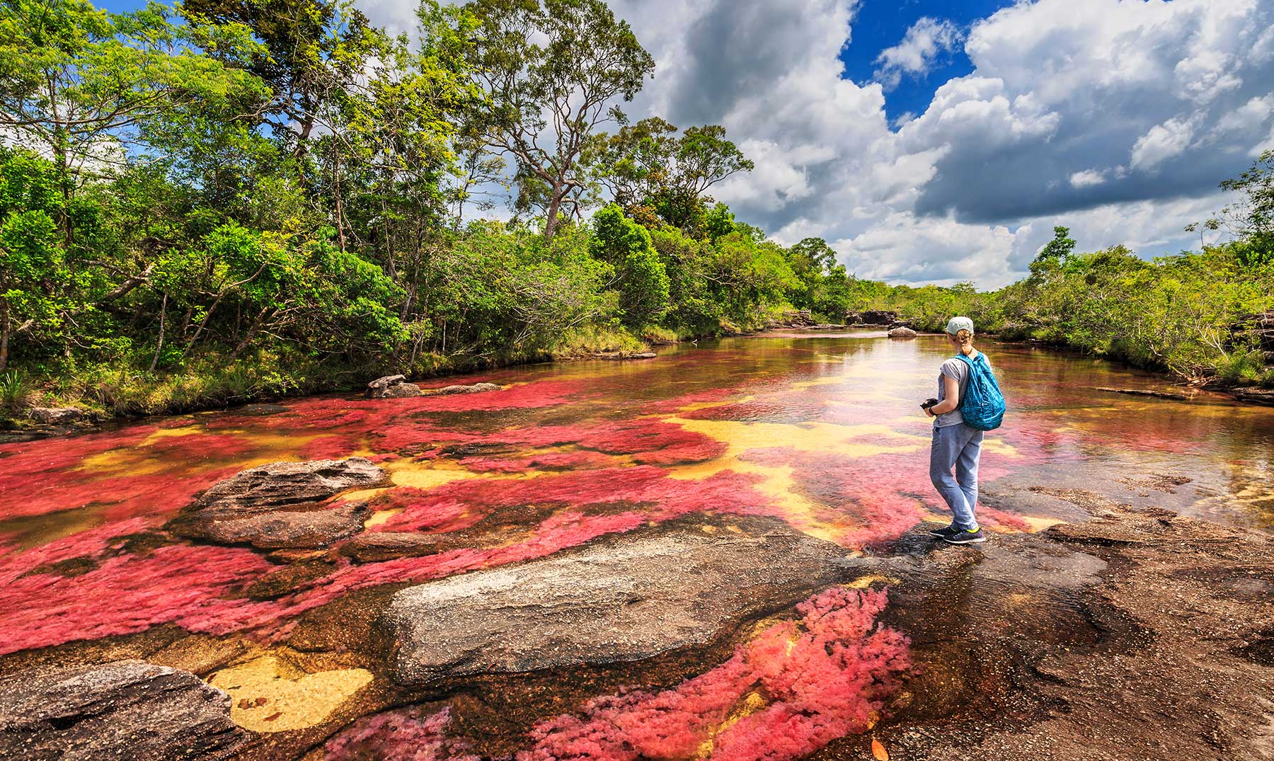 El río de los 7 colores en Colombia – Diario Digital Colombiano